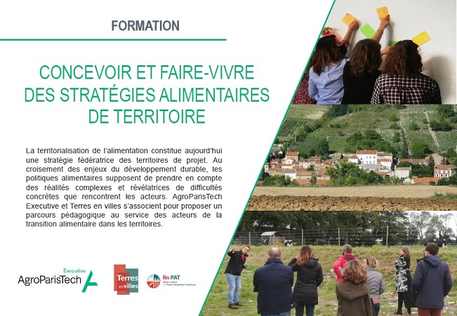 La nouvelle formation « Concevoir et faire vivre des stratégies ...